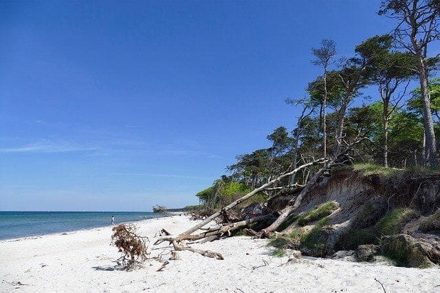 Darss Weststrand Parken