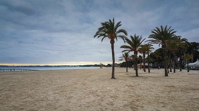 ᐅ Alcudia Strand - Einer der schönsten Strände Mallorcas